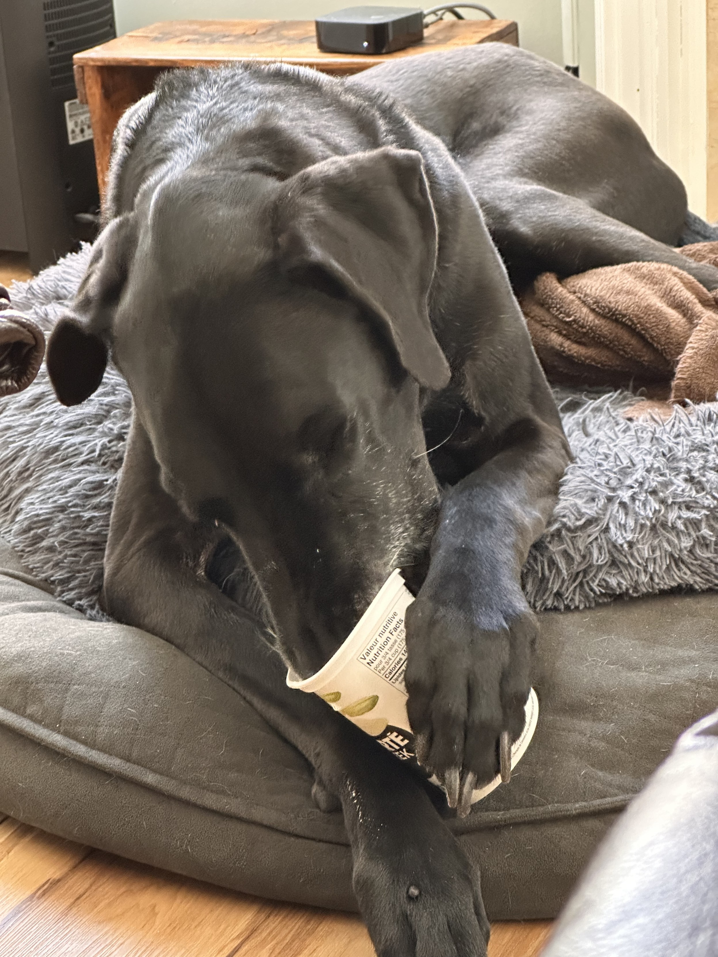 The Coding Beard :verified: (@thecodingbeard@techtoots.com) - Techtoots